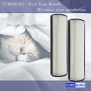 PUREBURG TPP440F True HEPA Replacement Filters Compatible with Envion Therapure TPP440 TPP540 TPP640 TPP640S Air Purifiers,2-Pack H13 4-Stage Filtration
