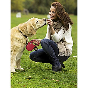 FLEXI New Comfort Multi Box Czarny