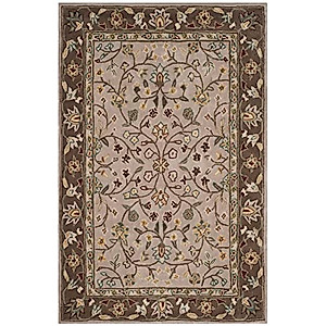 SAFAVIEH Total Performance Collection Accent Rug - 3' x 5', Ivory & Taupe, Hand-Hooked Oriental, Non-Shedding & Easy Care, Ideal for High Traffic Areas in Entryway, Living Room, Bedroom (TLP722B)