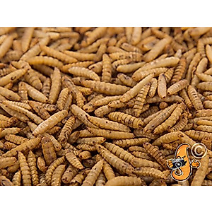 Chubby Mealworms 2lb Dried Black Soldier Fly Larvae (High in Calcium & Protein) for Wild Birds, Chickens, Sugar Gliders, Hedgehogs, Reptiles etc.