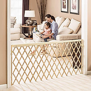 Evenflo Expansion Walk Thru Room Divider Gate