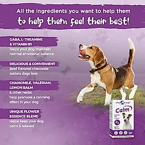 Vital Planet - Calm Chewable Tablets for Dogs, Promotes Calmness in Stressful Situations with Valerian, Lemon Balm, Chamomile, GABA, L-Theanine and Natural Herbs - 60 Beef Flavored Chewable Tablets