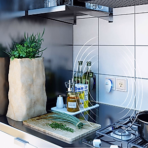 Ultrasonic Pest Control Repeller - 2 Pack Repel Rodents, Ants, Cockroaches, Bed Bugs, Mosquitos, Fruit Flies, Spiders & Bats Cricket Flea Moth Roach Scorpion Squirrel Rat Ultrasound Repellant Plug