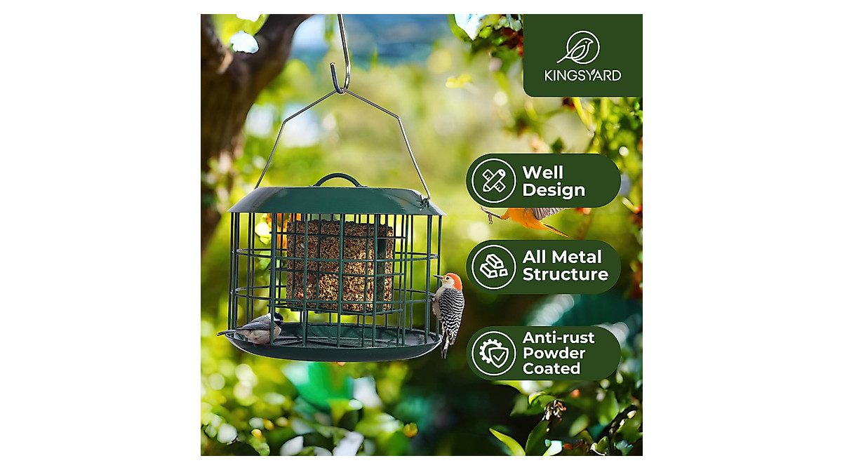 Kingsyard Squirrel Proof Suet Feeder for Bird Lovers