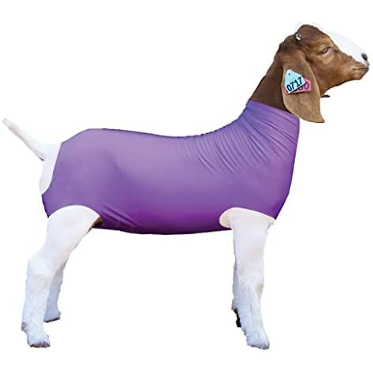 Show Pro Purple Spandex Goat Tube for Show Goats - Show Livestock Supplies: Goat Covers & Blankets (Medium)