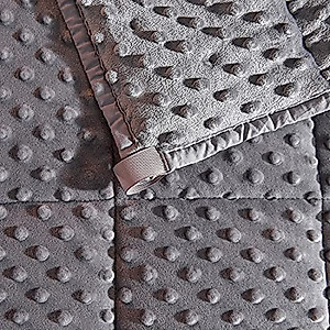 Weighted Blanket for Adult 15lbs Minky Dot Breathable Soft Throw Blanket for All Season,Heavy Blanket with Premium Glass Beads