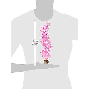 biOrb 46082.0 Kelp Set Medium Pink Aquariums