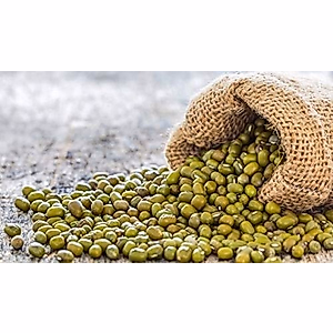 Whole dried Organic Mung Beans aka 'Green Gram' 'Maash' 'Moong' Prewashed Clean Ready to Cook non GMO (Natural, 25 Pound)