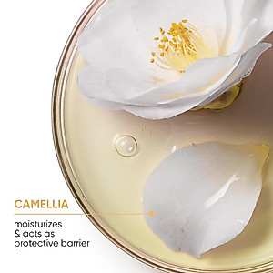 Biolage Smooth Proof Shampoo | Cleanses, Smooths & Controls Frizz | For Frizzy Hair | Paraben & Silicone-Free | Vegan​ | 33.8 Fl. Oz