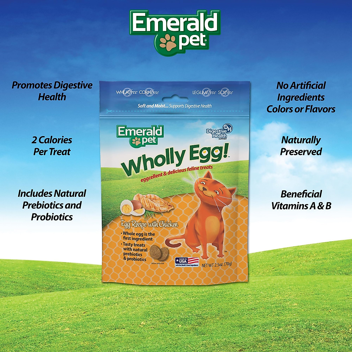 Emerald Pet Wholly Egg Digestive Health Cat Treats - Soft and Moist cat Treats for Healthy Digestion - Natural Prebiotics and Probiotics for cat Digestion - Chicken Treats, 2.5 oz