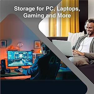 FeuVision SSD 1TB PCIe 4.0 Gen 4, NVMe M.2 Internal Solid State Drive, 3D NAND, Read Speed up to 5000 MB/s, High-end Consumer Level | Storage for PC, Laptops, Gaming and More