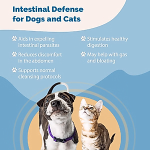 PranaPets Intestinal Defense Supplement for Dogs & Cats | Naturally Helps Digestive Issues in Pets | Herbal Formula