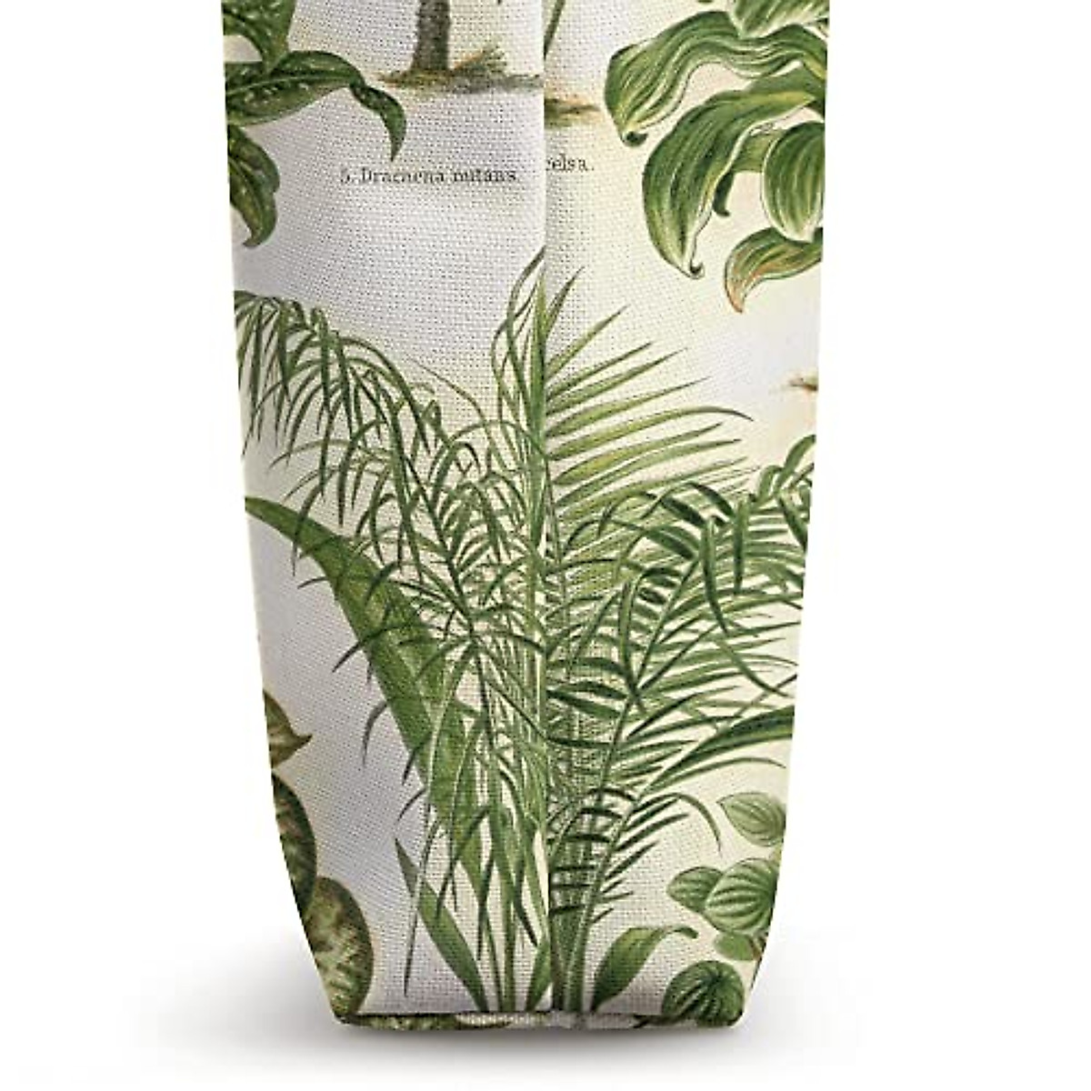 Monstera Succulent Plant Palm Tree Botanical Illustration Tote Bag