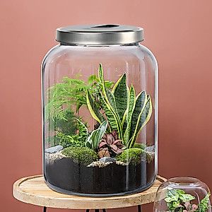 Daitouge Large Storage Glass Jars with Metal Lids, 5.5 Gallon (21000 ML) Canisters - Super Wide Mouth Heavy Duty with for Storing Flour, Rice, Set of 1