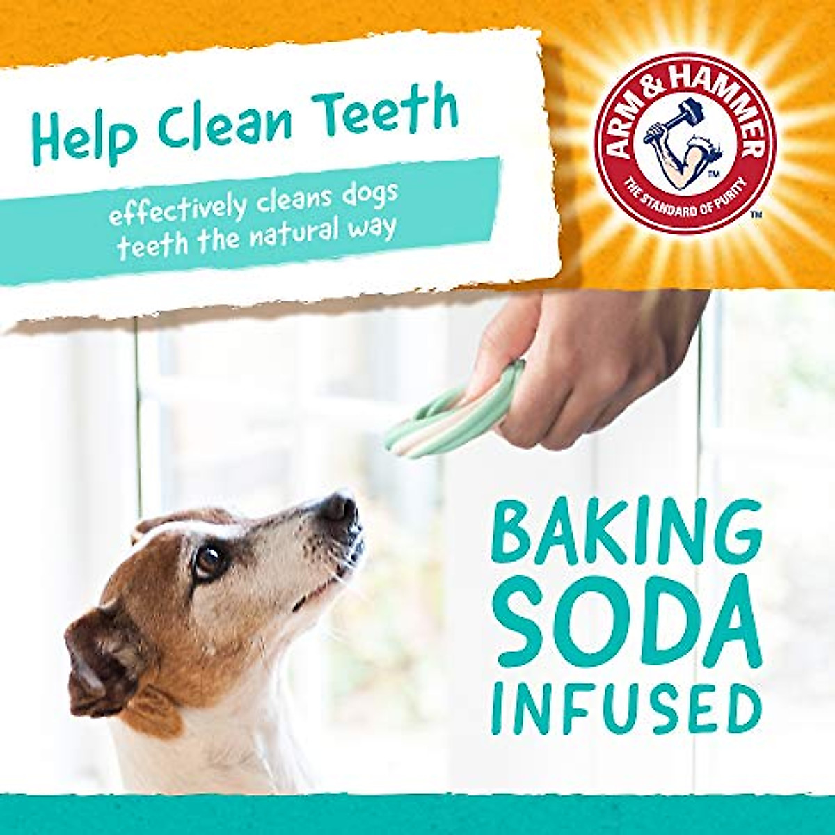 Arm & Hammer for Pets Ringers Dental Treats for Dogs | Dental Chews Fight Bad Dog Breath, Plaque & Tartar Without Brushing | Fresh Mint Flavor, 5 Count