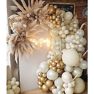 Pearl White Balloons Double Stuffed Sand White Ivory Balloons Different Sizes 18/12/5in White Pastel Cream Balloons Neutral Balloon Arch Kit For Birthdays Wedding Bridal Baby Shower Party Decorations.