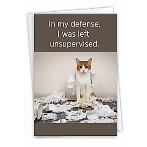 NobleWorks - 1 Funny Retro Birthday Greeting Card - Women's Birthday Celebration Humor, Vintage Notecard - Unsupervised Cat C9369BDG
