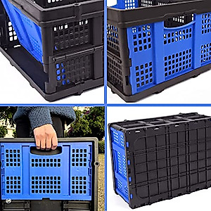 49L Collapsible Plastic Storage Basket, Foldable Storage Bin Organizer, Stackable Folding Crate for Farm Home Office(1 Pack)