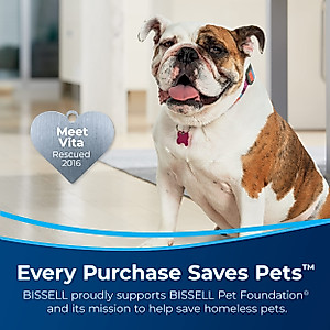 BISSELL Little Green Pro Portable Carpet & Upholstery Cleaner with Deep Stain Tool, 3" Tough Stain Tool, plus two 8 oz. trial-size Formulas, 3194