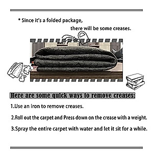 Erosebridal Dragonfly Area Rug 5x7 for Living Room Bedroom, Blue Dragonflies Non Slip Rugs, Botanical Floral Washable Carpet for Lady Girls Women, Flying Animals Wild Animals Indoor Floor Mat, Green