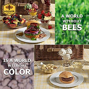 Hoover Hives 8 Frame Langstroth Beehive Dipped in 100% Beeswax Includes Wooden Frames & Waxed Foundations (1 Deep Box, 1 Medium Box)