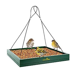 MIXXIDEA Bird Feeder Hanging Tray, Seed Tray Wooden Platform Hummingbird Feeder Hanging Tray Mesh Seed Platform for Garden Yard Outside Decoration Attracting for Wild Birds (Green-1pk)