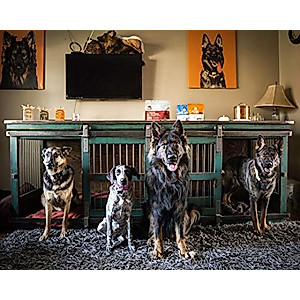 Amici Pet Copper Spaniel Treats Canister Decorative Hand Made Hammered Finish Metal Storage Container, 38 oz. Capacity (Medium)