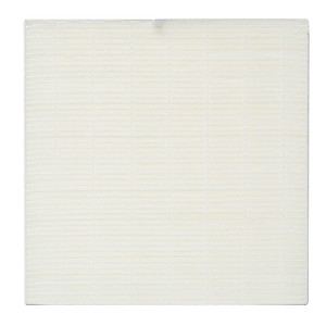 Ivation Replacement HEPA Filter for IVADGOZHEPA 5-in-1 HEPA Air Purifier & Ozone Generator W/Digital Display Timer and Remote