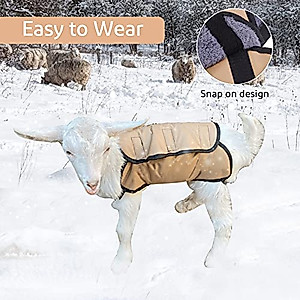 2 Pcs Goat Blanket Goat Blankets for Cold Weather Mini Horse Blanket Goat Coats for Winter Goat Supplies Goat Blankets Sheep Blanket S