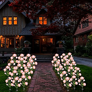 SmilingTown Solar Garden Stake Lights 2 Pack with 10 Rose Flowers Landscape Path Decorative Lights Waterproof for Outdoor Yard Grave Cemetery Pathway Courtyard Lawn (Pink)
