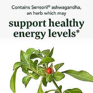 MegaFood Thyroid Strength - Mineral Supplement - Thyroid Support for Women with Ashwagandha, Zinc, Selenium, Copper, Iodine & L-Tyrosine & Herb Blend - Vegetarian - 90 Tabs (45 Servings)