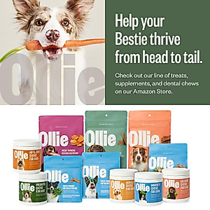 Ollie Belly Rubs Dog Probiotic Chews - Probiotics for Dogs - Dog Upset Stomach Relief - Probiotics for Dogs Digestive Health - Natural Dog Probiotics - Digestive Probiotics for Dogs - 60 Count Appx.