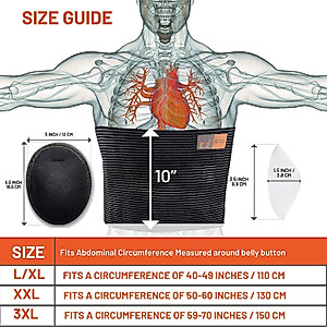 Everyday Medical Plus Size Umbilical Hernia Support Belt I Pain and Discomfort Relief from Umbilical, Navel, Ventral and Incisional Hernias I Hernia Binder for Big Men and Large Women I L/XL