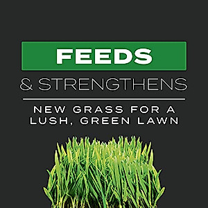 Scotts Turf Builder Triple Action Built For Seeding: Covers 4,000 sq. ft., Feeds New Grass, Lawn Weed Control, Prevents Crabgrass & Dandelions, 17.2 lbs.