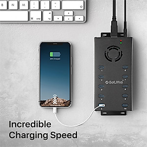 SotMa 10 Port USB C 2.0 Hub - USB Type C Hub - Multi-Port USB-C Hub - Powered USB C Expander for Mining - USB C Big Power Splitter with 12V 10A Power Adapter, LEDs, Mounting Bracket - Black
