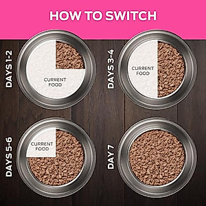 Purina Pro Plan Veterinary Diets UR Urinary Ox/St Canine Formula Wet Dog Food - (Pack of 12) 13.3 oz. Cans