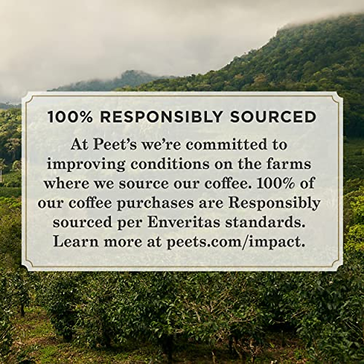 Peet's Coffee, Medium Roast K-Cup Pods for Keurig Brewers - Cafe Domingo 32 Count (1 Box of 32 K-Cup Pods)