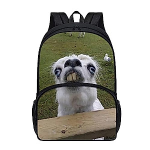 AmzPrint 17 Inch Funny Llama Backpack For Elementary Middle School Alpaca Backpack For Kids Child Back To School As Gift