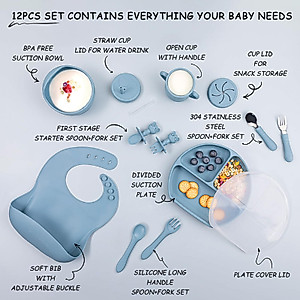 Vivalada Silicone Baby Feeding Set, 12PCS Baby Led Weaning Supplies, Baby Suction Plate with Lid and Bowl Set, Baby Self Feeding Spoons Forks Sippy Cup and Bib, Baby Eating Set 6+ Months (Blue)