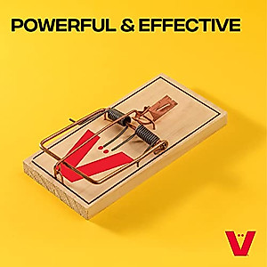 Victor Traditional Wooden Mouse Trap - 12 Pack