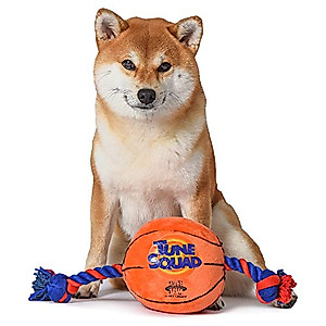 LOONEY TUNES Space Jam 2: Basketball Rope Pull Dog Toy | Fun and Cute Dog Toy Officially Licensed by Warner Bros Space Jam | Large Dogg Chew Toy, 12 in
