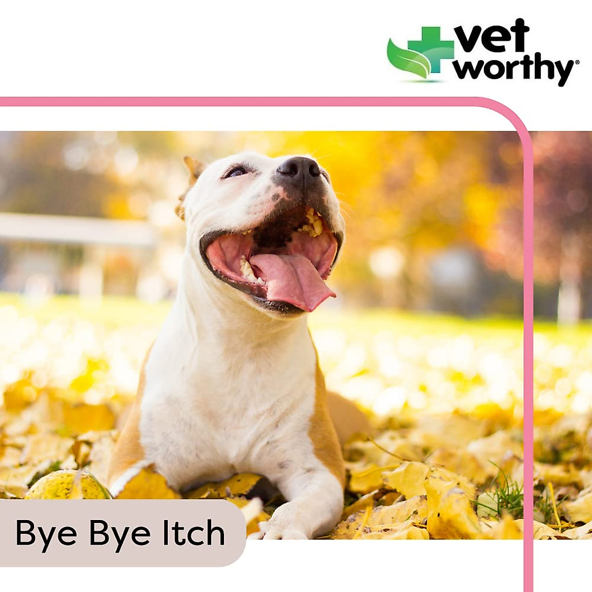 Vet Worthy Hydrocortisone Spray for Dogs - Medicated Itch Relief for Hot Spots, Eczema, Bites, Skin Irritations - Dog Wound Care Spray with Hydrocortisone Acetate and Aloe Vera - 4oz.