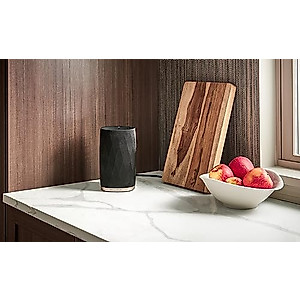 Bowers & Wilkins Formation Flex Wireless Speaker (Single), Multi-Room Music Streaming, (1) 1" Tweeter & (1) 4" Driver, Built-in Bluetooth, AirPlay 2, Wi-Fi & Spotify Connect, Alexa Compatible
