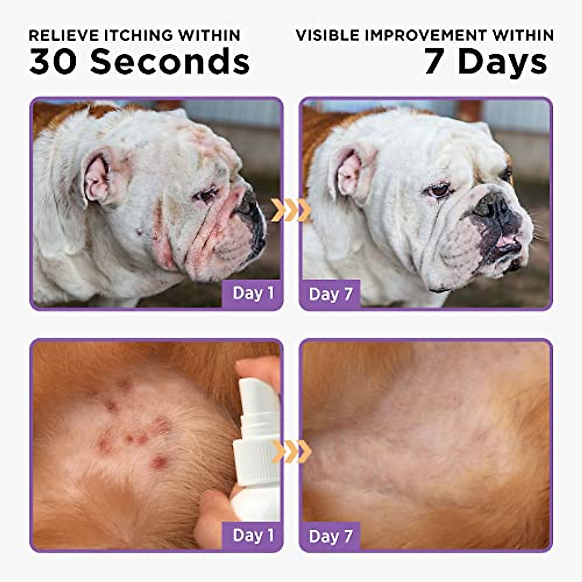 HICC GROOM! Hot Spot Treatment and Itch Relief Spray for Dogs & Cats, Rapidly Alleviate Dry Itchy Skin, Skin Allergies, Scratching, Excessive Licking, Wound Wash Spray, 3.4 Fl Oz