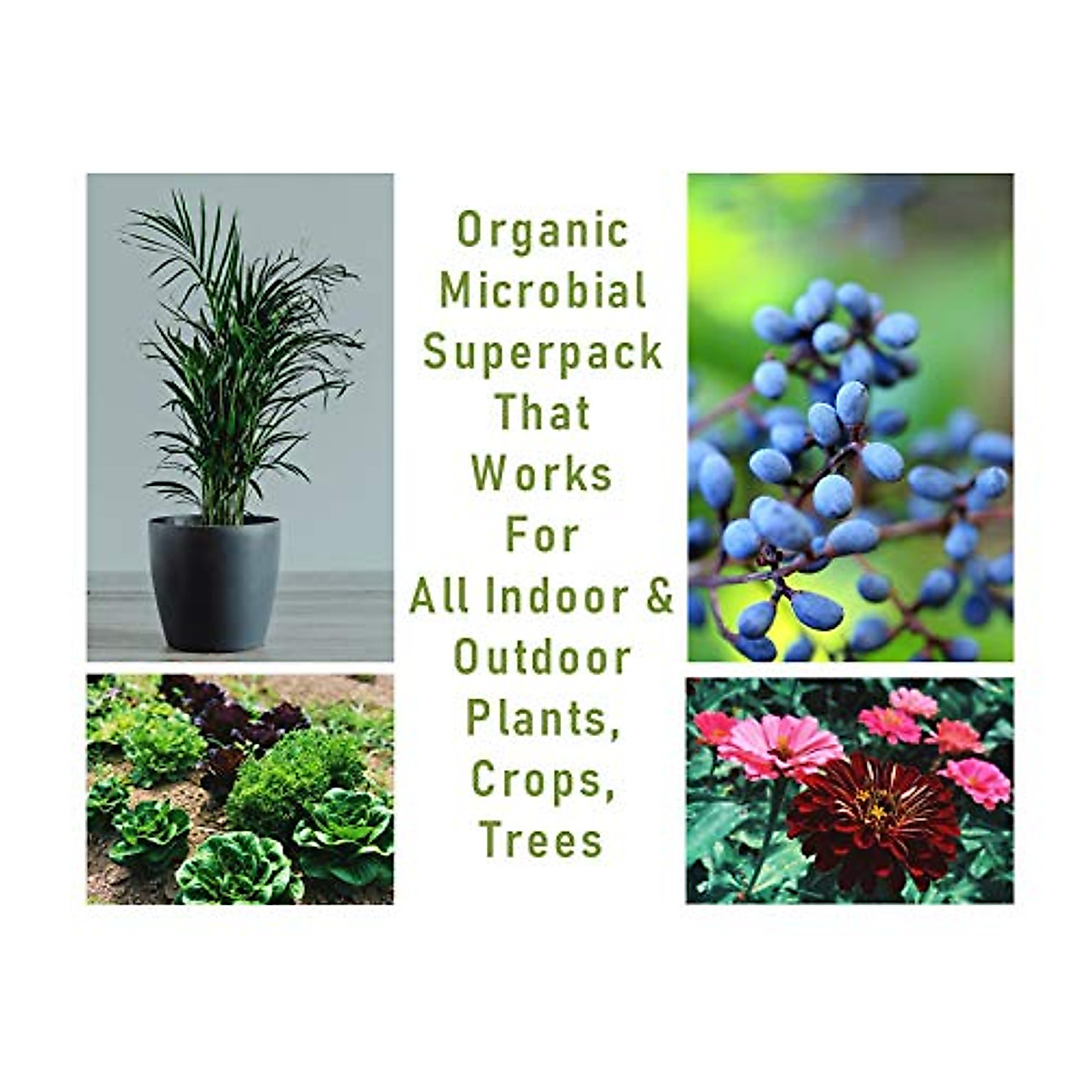 Mikrobs - Microbial Superpack for Living Soil. Revitalize Plants (8 Oz)