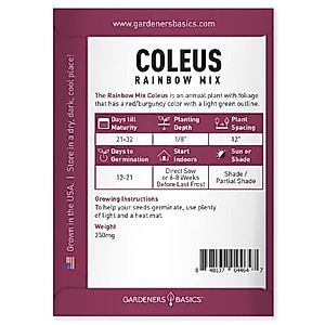 Coleus Seeds for Planting (Rainbow Mix) - Heirloom Non-GMO Shade Plants Seeds for Home Gardens, Containers, Hanging Pots, Decorative Borders and More by Gardeners Basics