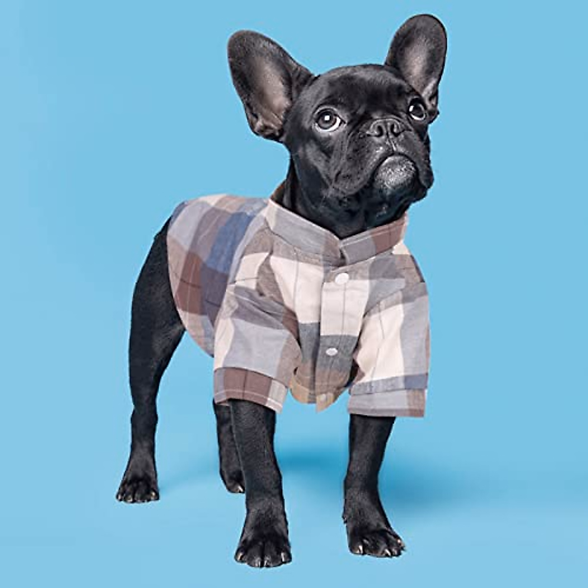 Dog Shirt, Plaid Dog Clothes Boy Girl Outfit with Bow Tie, Casual Cozy Cat Shirt Clothes Tee, Breathable Pet Apparel Polo Puppy T-Shirt, Spring Fashion Coat for Small Medium Dogs, M