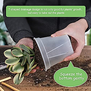 GREENPARA Transparent Plastic Planter 4/5 /6 inch Plant Nursery Pots with Drainage Hole Indoor Modern Decorative Containers for Plants, Herb, Flowers, and Cactus with 10pcs Plant Labels, 12pcs