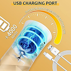 Portable Blender, Personal Blender for Shakes and Smoothies, Personal Smoothie Blender with USB Rechargeable, Strong Stainless-Steel Blades Fruit Mini Mixer for Home, Office, Travel