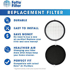 2 Pack of Premium H13 True Hepa Filter Compatible with Pure Enrichment PureZone Halo Air Purifier Model PEAIRDSK Compatible with Sharper Image Personal Air Purifier Item # 207073 207009